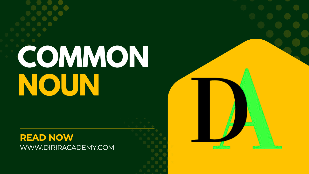 Common Noun: Definition, 4 types with clear examples - Dirir Academy